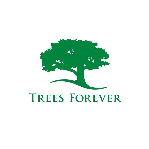 @treesforever - Campsite